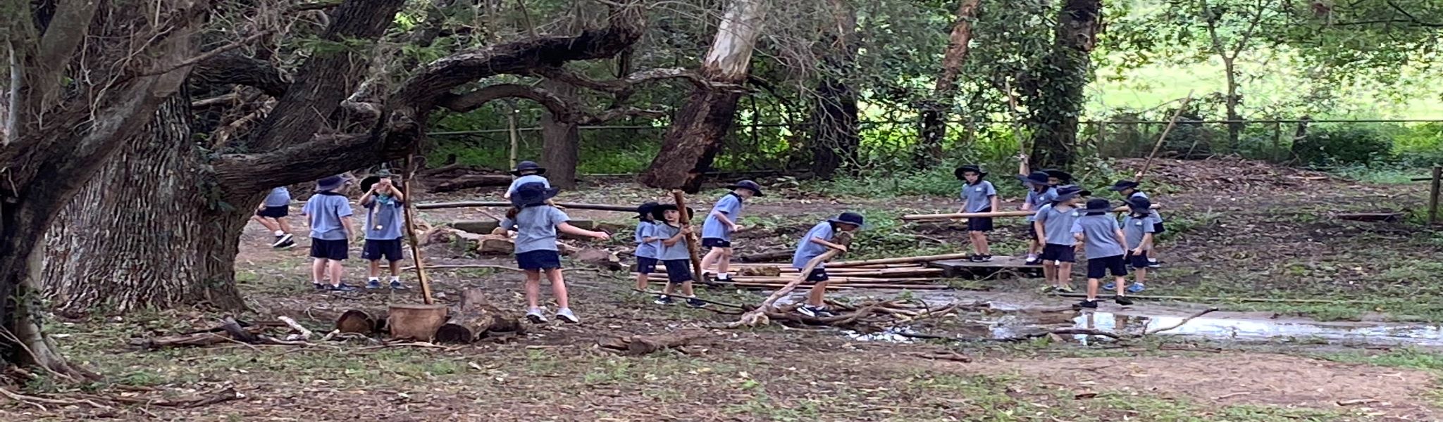 Fig Tree Pocket State School